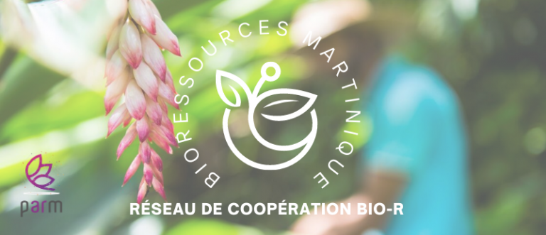Réseau de coopération BIO-R - Le PARM, partenaire du développement et ...